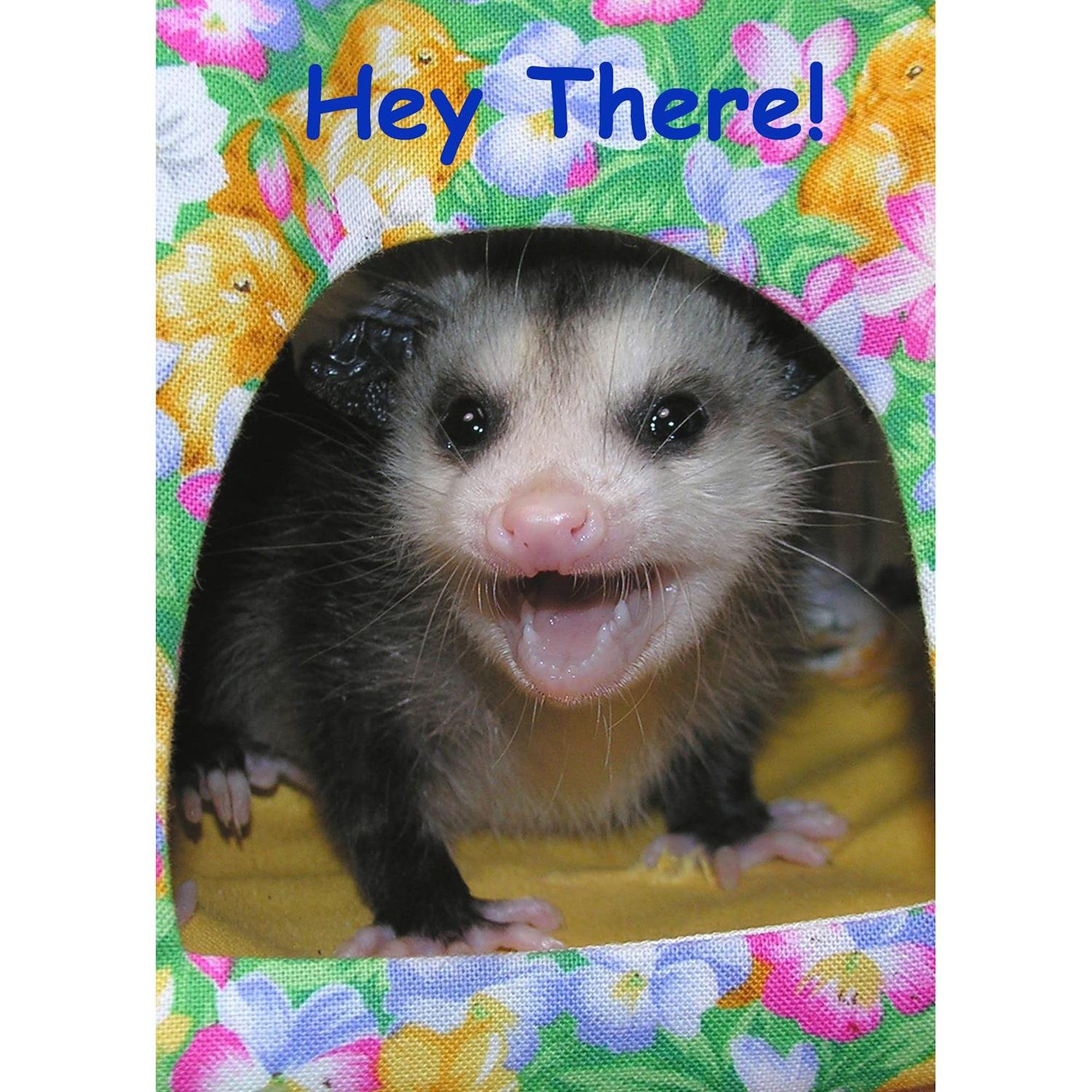 CafePress Possum/Opossum Birthday Card Folded Greeting Card Glossy