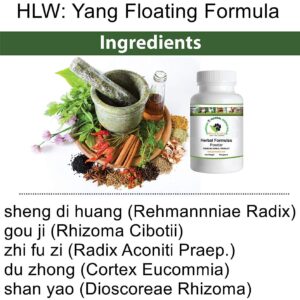 Hind Leg Weakness: Yang Floating - Legs Buckle - 100 Grams-Herbal Powder-Dogs