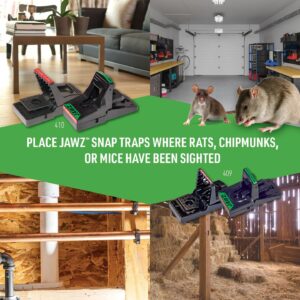 JT Eaton JAWZ Pro Series Snap Trap for Mice 2 pk