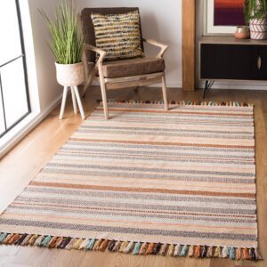 safavieh montauk collection accent rug - 3' x 5', beige & multi, handmade boho stripe fringe cotton, ideal for high traffic areas in entryway, living room, bedroom (mtk901a)