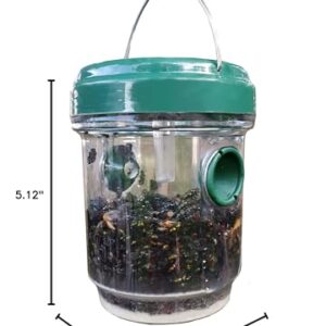 GREENSTRIKE 10050 Solar Decorative Led Fly Trap Lantern