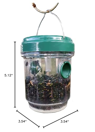 GREENSTRIKE 10050 Solar Decorative Led Fly Trap Lantern