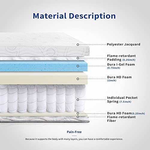 Olee Sleep 10 inch Omega Hybrid Spring Mattress Full