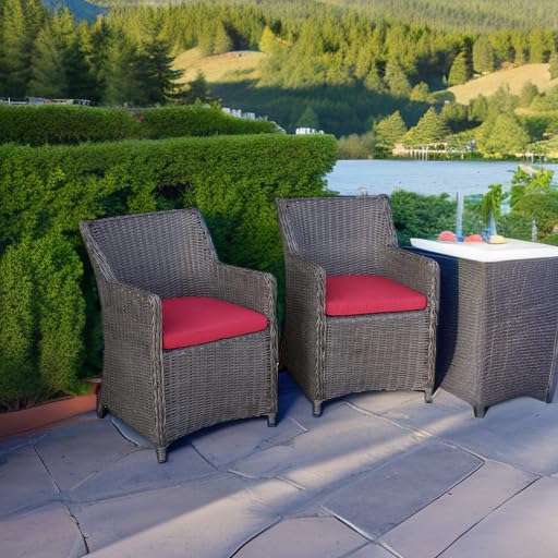 Sea Island Wicker CT-M-1-SP (CT-M-1) Patio Lounge Chair Set with Red Cushion