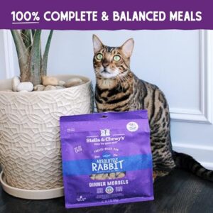 Stella & Chewy’s Freeze-Dried Raw Cat Dinner Morsels – Grain Free, Protein Rich Cat & Kitten Food – Absolutely Rabbit Recipe – 8 oz Bag