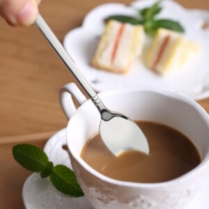 Fiazony 12-Piece Stainless Steel Teaspoon Dessert Spoons