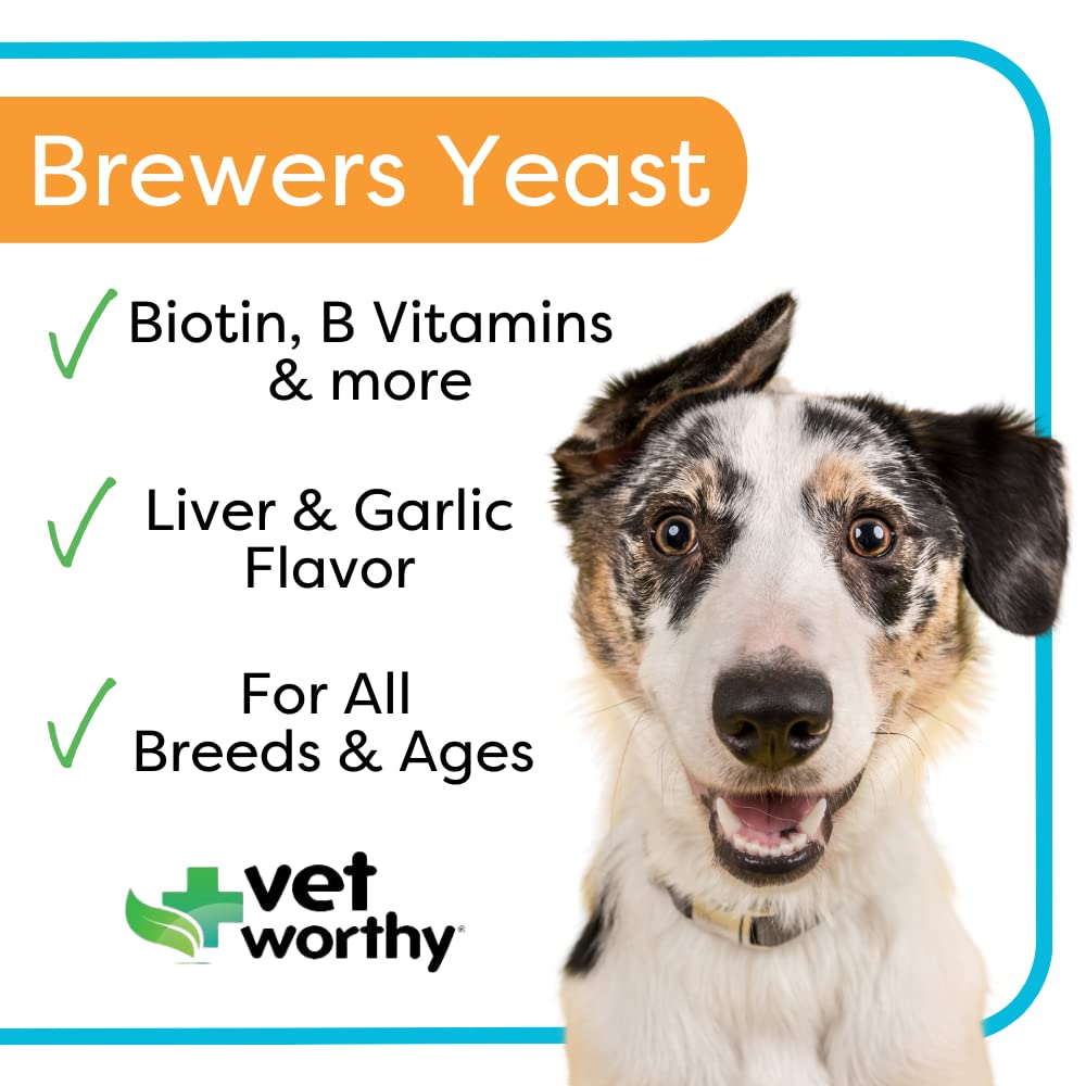 Vet Worthy Brewer’s Chewables for Dogs - Dog Daily Supplement to Support Healthy Skin and Coat - Brewers Supplement with Zinc, Iron, Vitamin B Complex - Garlic Flavored, 300 Tablets