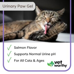 Vet Worthy Urinary Paw Gel for Cats - Cat Supplement to Support Healthy Urinary Tract and Bladder Health - Feline Supplement with Cranberry Extract, L-Lysine and Vitamin C - Salmon Flavor, 3oz