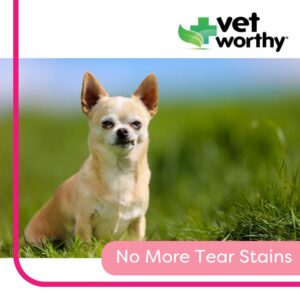 Vet Worthy Tear Stain Pads for Dogs - Solution Soaked Pads - Remove Stains from Dogs Fur - Gentle and Safe - 90 Pads.