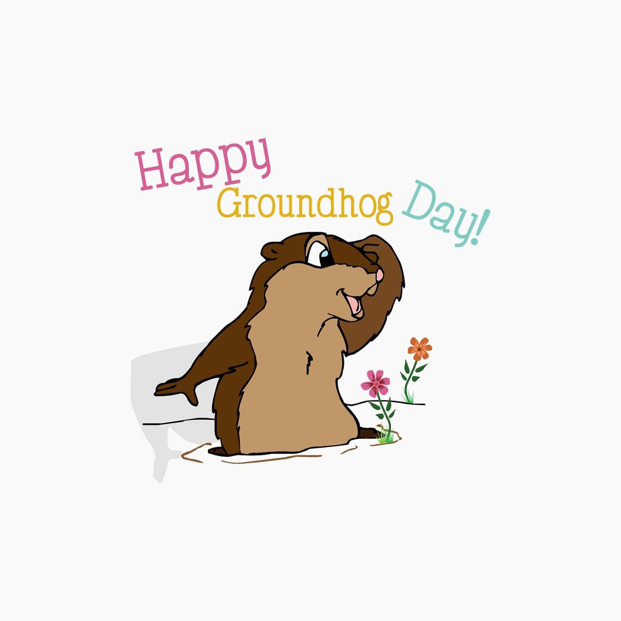 CafePress Happy Groundhog Day Greeting Cards Greeting Card (20-pack), Note Card with Blank Inside, Birthday Card Glossy