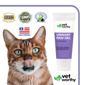 Vet Worthy Urinary Paw Gel for Cats - Cat Supplement to Support Healthy Urinary Tract and Bladder Health - Feline Supplement with Cranberry Extract, L-Lysine and Vitamin C - Salmon Flavor, 3oz