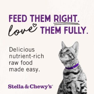 Stella & Chewy’s Freeze-Dried Raw Cat Dinner Morsels – Grain Free, Protein Rich Cat & Kitten Food – Absolutely Rabbit Recipe – 8 oz Bag