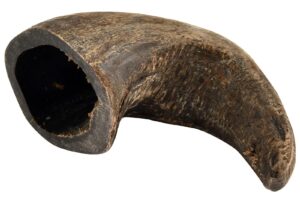 qt dog buffalo hornz water buffalo horn dog treat