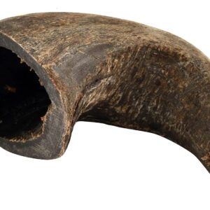 QT Dog Buffalo Hornz Water Buffalo Horn Dog Treat