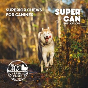 SUPER CAN BULLYSTICKS Supercan Bully Sticks for Small Medium Dogs 4"-5" (25-Pack) - 100% Natural Dog Chews Made from Farm- Healthy Treats for Dogs - Raised Free-Range Grass-Fed Beef, Non-GMO