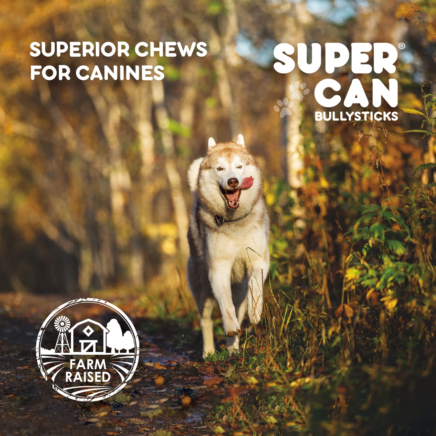 SUPER CAN BULLYSTICKS Supercan Bully Sticks for Small Medium Dogs 4"-5" (25-Pack) - 100% Natural Dog Chews Made from Farm- Healthy Treats for Dogs - Raised Free-Range Grass-Fed Beef, Non-GMO