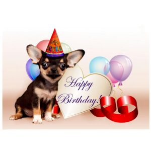 CafePress Happy Birthday Chihuahua Dog Greeting Cards Folded Greeting Card Matte