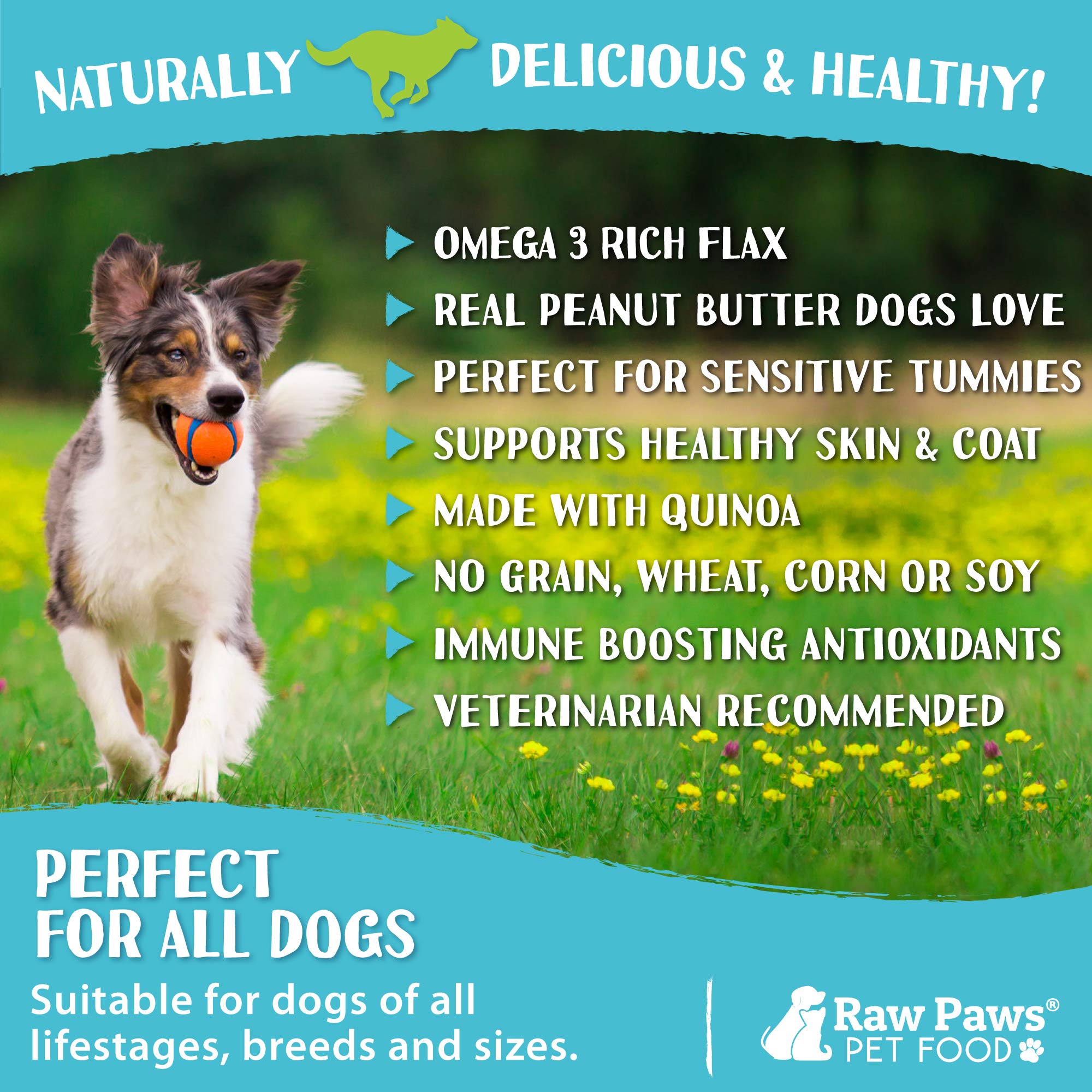 Raw Paws Grain-Free Biscuits for Dogs - Peanut Butter Recipe, 10-oz - Crunchy Dog Treats Made in USA - Corn, Wheat & Soy Free PB Dog Treats - Heart Shaped Puppy Biscuits - Peanut Butter Dog Biscuits