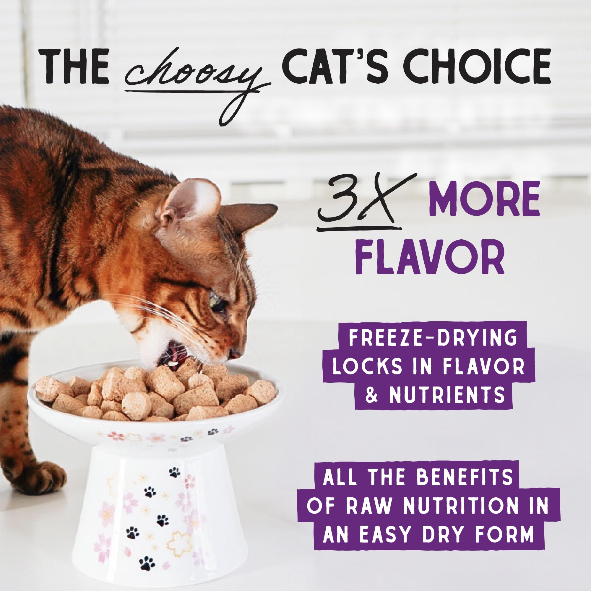 Stella & Chewy’s Freeze-Dried Raw Cat Dinner Morsels – Grain Free, Protein Rich Cat & Kitten Food – Absolutely Rabbit Recipe – 8 oz Bag