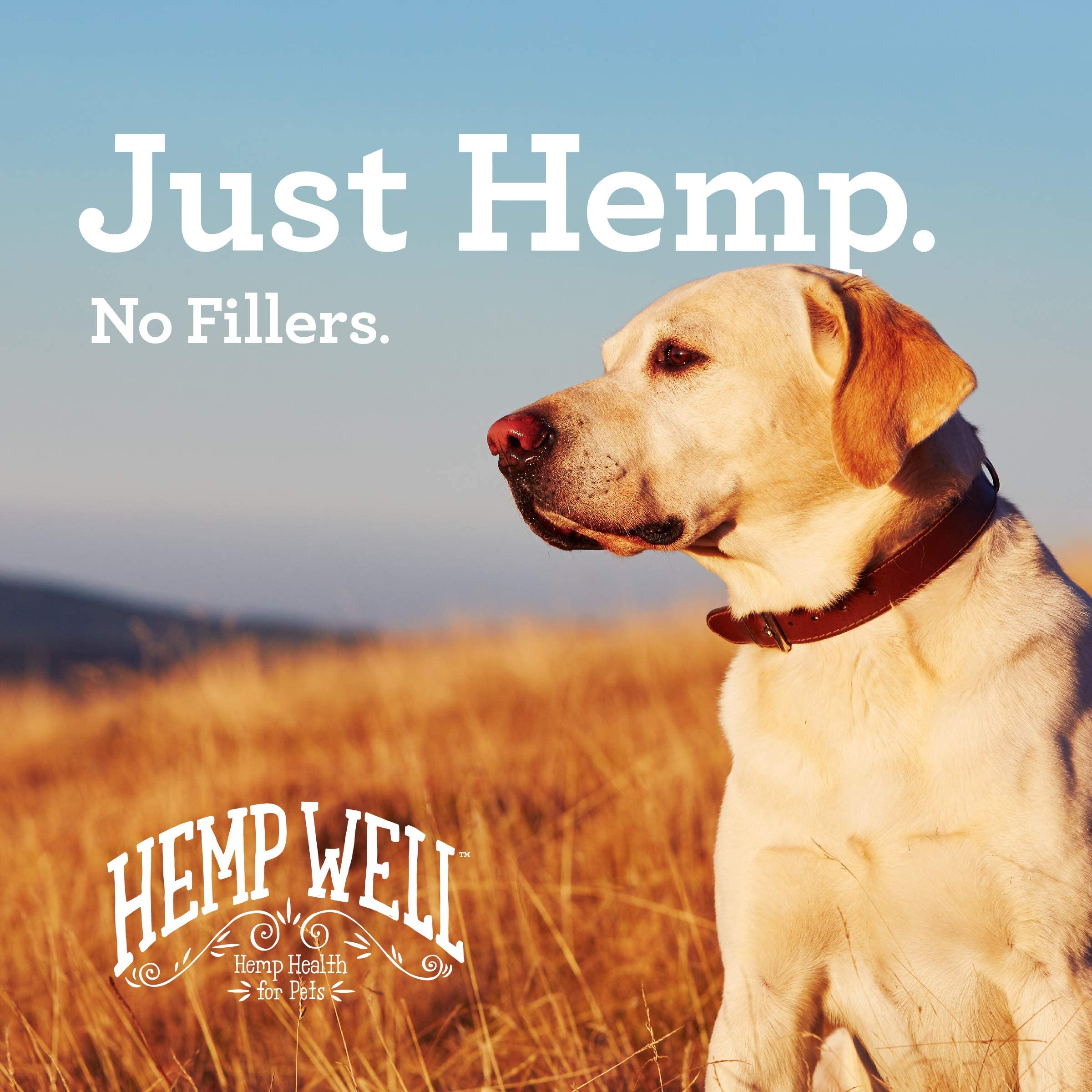 Hemp Well Hemp Thrive Oil for Dogs and Cats – 16 Ounces of Organic Hemp Oil Supplement for Dog and Cat Health, Calming, Joint Support, ImmuneHealth, and Itchy Skin Relief