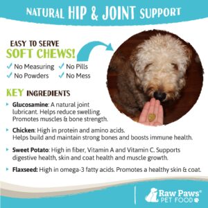 Raw Paws Hip and Joint Treats for Dogs, 10-oz/100-ct - Made in USA - Soft, Chewable Dog Arthritis Supplement - Dog Glucosamine Chews Increases Mobility, Reduces Pain, Inflammation & Hip Dysplasia