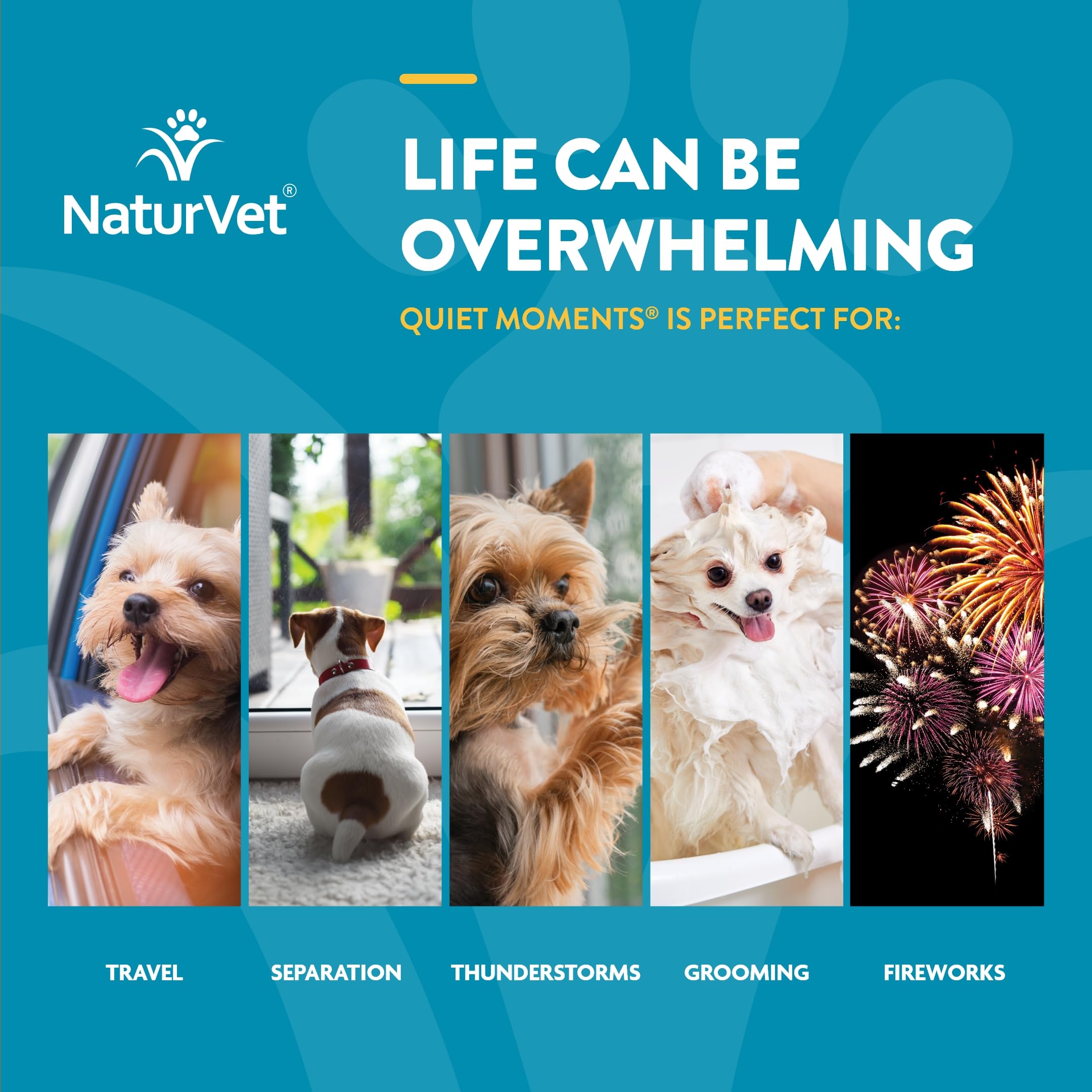 NaturVet Quiet Moments Calming Aid Melatonin Dog Supplement – Helps Reduce Stress in Dogs – for Pet Storm Anxiety, Fireworks, Motion Sickness, Grooming, Separation, Travel – 240 Ct. Chews