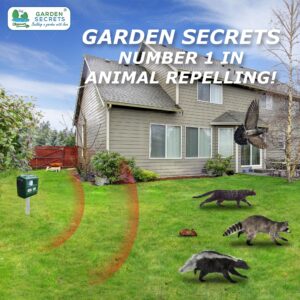 GARDEN SECRETS 3-in-1 Professional ULTRASONIC ANIMAL REPELLENT, Deer Raccoon Rabbit Skunk Possum Bear etc. deterrent, Keep the pests away from your property within 2-4 weeks, whole year full warranty!