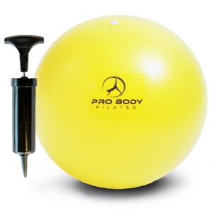 probody pilates ball small exercise ball w/pump, 9 inch barre ball, mini soft yoga ball, workout ball for stability, barre, ab, core, and physical therapy ball at home gym & office (yellow)