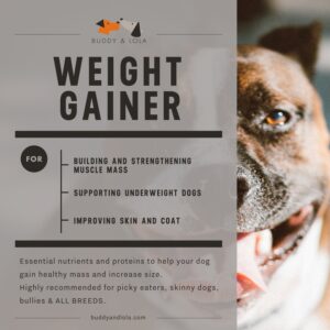 Buddy & Lola Dog Weight Gainer - Dog Supplement for Weight Gain - Dog Protien Powder for Max Muscle Builder, High Calorie Supplement for All Dogs & Breeds inc Bully. Pro Food Topper - Made in The USA