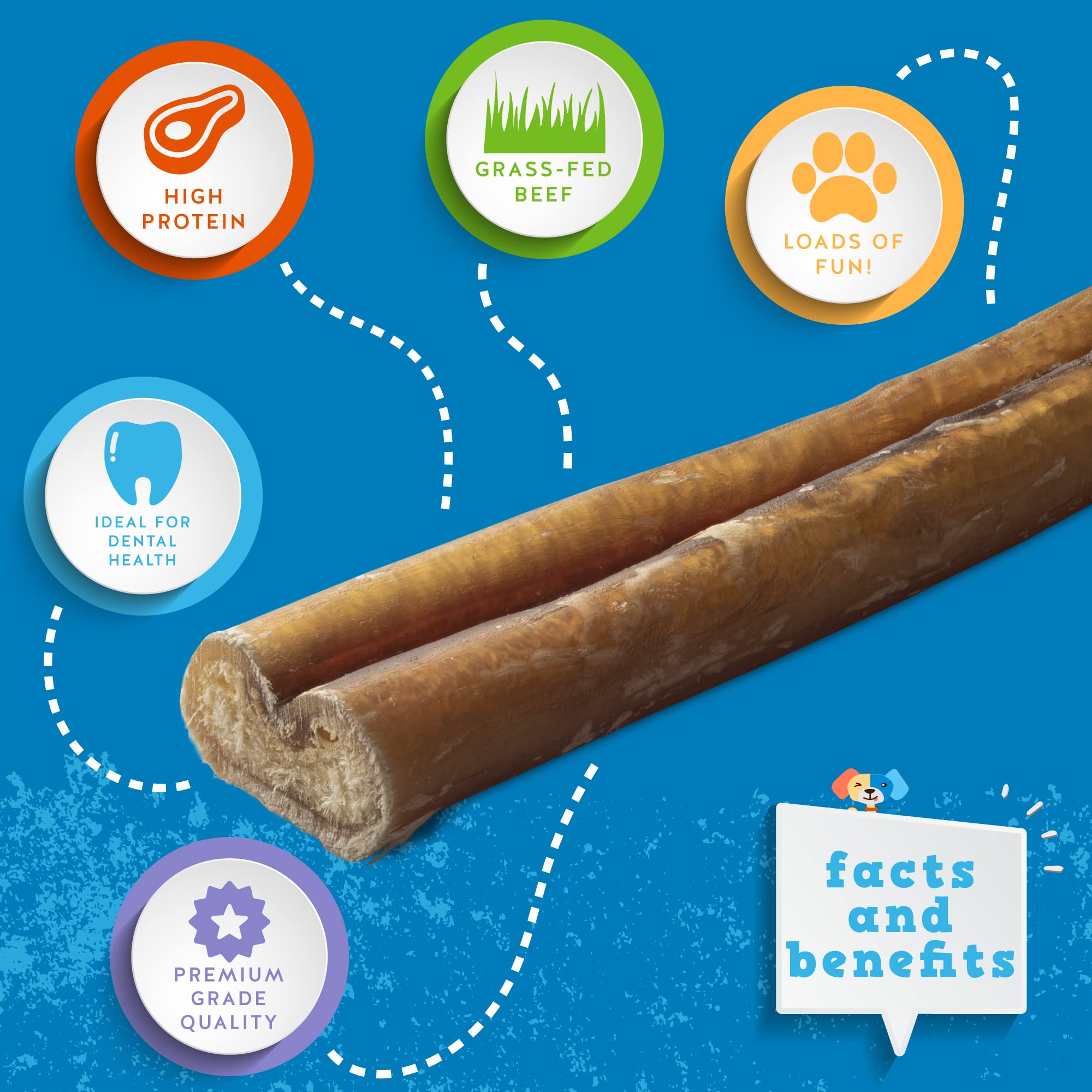 Jack&Pup Thick Bully Sticks 12 Inch Premium Dog Bully Sticks for Large Dogs Aggressive Chewers - All Natural Bully Sticks Odor Free 12" Large Bully Sticks, Long Lasting Dog Chews Bully Stick (5 Pack)