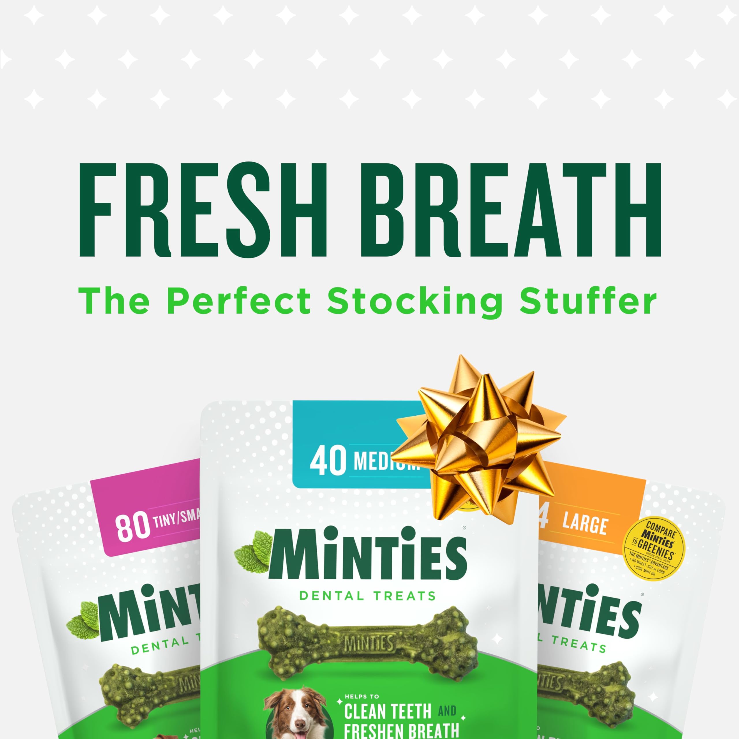 Minties Dental Chews for Dogs, 16 Count, Vet-Recommended Mint-Flavored Dental Treats for Tiny/Small Dogs 5-24 lbs, Dental Bones Clean Teeth, Fight Bad Breath, and Removes Plaque and Tartar