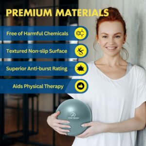 ProBody Pilates Ball Small Exercise Ball w/Pump, 9 Inch Barre Ball, Mini Soft Yoga Ball, Workout Ball for Stability, Barre, Ab, Core, and Physical Therapy Ball at Home Gym & Office (Yellow)