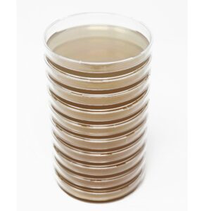 ez bioresearch malt extract agar (mea) plates for mushroom cultivation (10 prepoured agar plates)