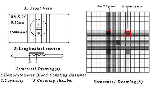 Hemocytometer Blood Counting Chamber with 100 Cover Slips Hemacytometer Blood Cell Counting