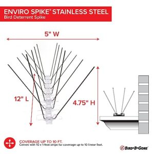 Bird B Gone - Pre-Assembled EnviroSpike Stainless Steel Anti Bird Spikes (10') - UV-Stabilized Polycarbonate Base - Humane Deterrent - Stops Pigeons & Birds from Roosting On Rooftops, Ledges, Fences