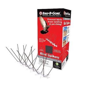 bird b gone - pre-assembled envirospike stainless steel anti bird spikes (10') - uv-stabilized polycarbonate base - humane deterrent - stops pigeons & birds from roosting on rooftops, ledges, fences