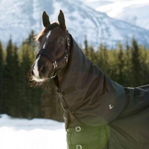 horze nevada lightweight 1200d waterproof horse rain sheet neck cover hood (no fill) - black - m