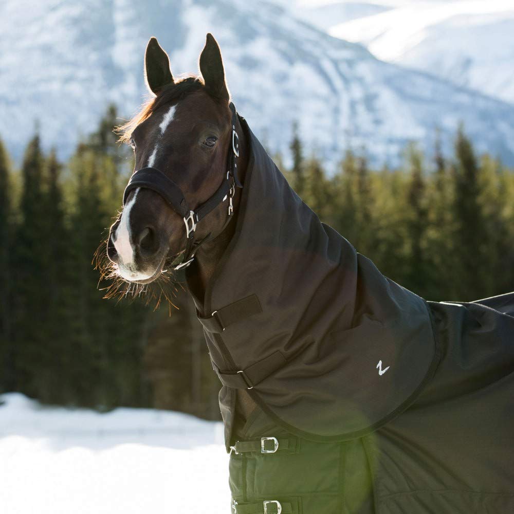 HORZE Nevada Lightweight 1200D Waterproof Horse Rain Sheet Neck Cover Hood (No Fill) - Black - M