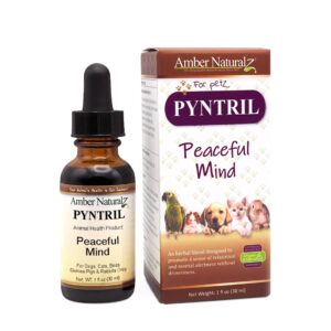 AMBER NATURALZ Pyntril Peaceful Mind Herbal Supplement for Dogs, Cats, Birds, Guinea Pigs, and Rabbits | Herbal Pet Supplement for Relaxation | 1 Fluid Ounce Glass Bottle | Manufactured in The USA