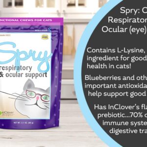 In Clover Spry, Cat Eye Care Support, L-Lysine Cat Treat Supplement, Cat Immune Support Supplement, Cat Health Daily Treat, Prebiotic Cat Health Support, Cat Antioxidant Respiratory Health for Cats