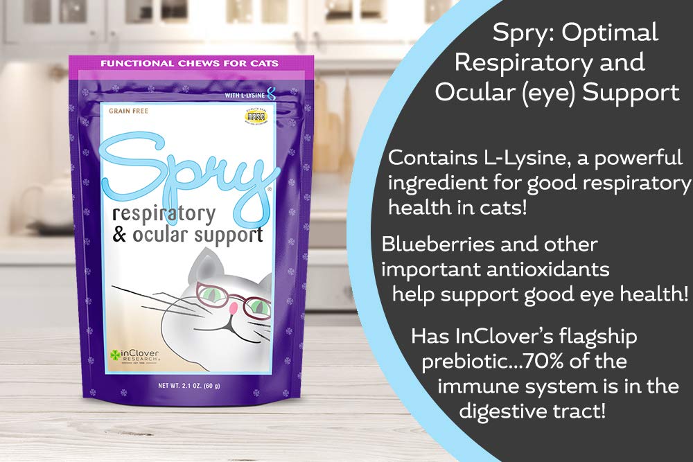 In Clover Spry, Cat Eye Care Support, L-Lysine Cat Treat Supplement, Cat Immune Support Supplement, Cat Health Daily Treat, Prebiotic Cat Health Support, Cat Antioxidant Respiratory Health for Cats