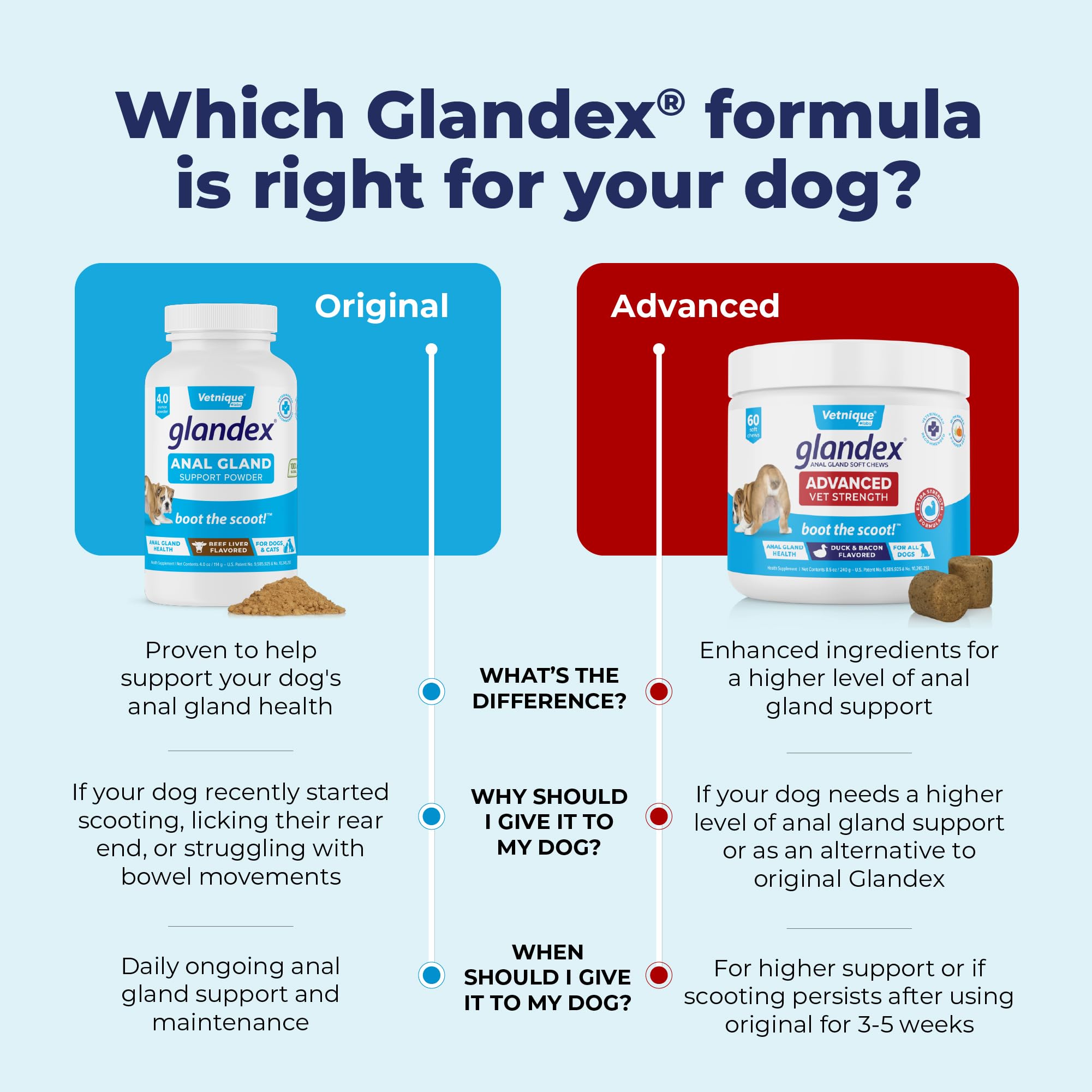 Glandex Dog Fiber Supplement Powder for Anal Glands with Pumpkin, Digestive Enzymes & Dog Probiotics for Digestive Health - Vet Recommended - Boot The Scoot (Pork Liver, 2.5oz Powder)