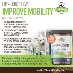 Strawfield Pets Hip + Joint Chews for Dogs Advanced Dog Joint Supplement with Glucosamine Tasty Healthy Mobility Treats Bacon Flavor 120 Count