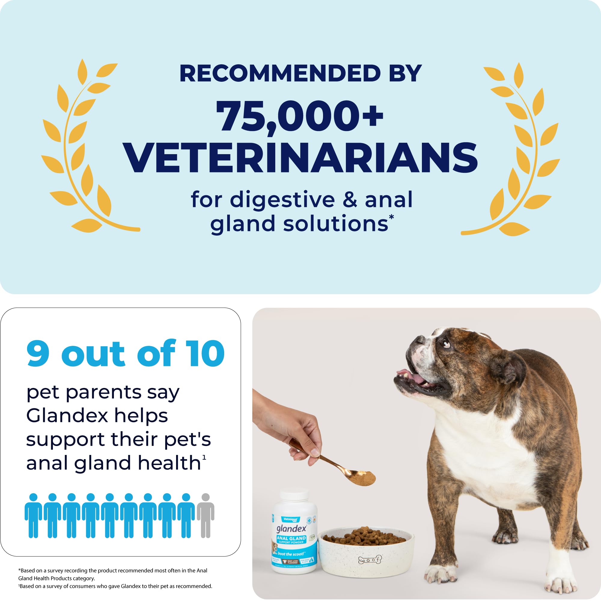 Glandex Dog Fiber Supplement Powder for Anal Glands with Pumpkin, Digestive Enzymes & Dog Probiotics for Digestive Health - Vet Recommended - Boot The Scoot (Pork Liver, 2.5oz Powder)