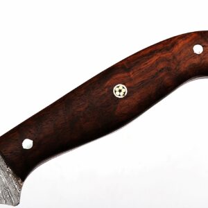 HM TRADING Custom Handmade Damascus Steel Fillet Knife with Beautiful Rose wood Handles (Brown)