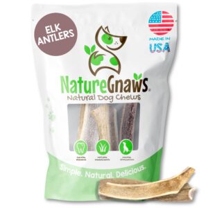 nature gnaws usa elk antlers for dogs 5-8" (5 count) - mix of split and whole pieces - long lasting for aggressive chewers - natural dog chew bones