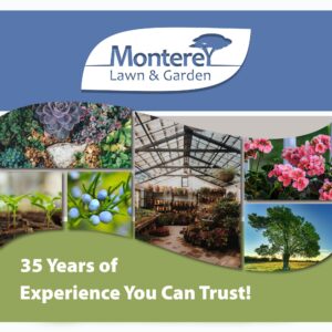 Monterey Horticultural Oil - Organic Gardening Fungicide, Insecticide, & Miticide - Controls Aphids, Mites, Scales - 1 Gallon - Apply Using a Sprayer