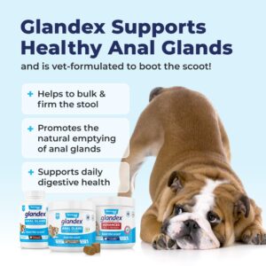 Glandex Dog Fiber Supplement Powder for Anal Glands with Pumpkin, Digestive Enzymes & Dog Probiotics for Digestive Health - Vet Recommended - Boot The Scoot (Pork Liver, 2.5oz Powder)