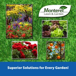 Monterey Horticultural Oil - Organic Gardening Fungicide, Insecticide, & Miticide - Controls Aphids, Mites, Scales - 1 Gallon - Apply Using a Sprayer