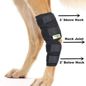 Rear Dog Leg Brace One Pair Heals Hock Joint Wrap Sleeve for Hind Legs(L/Long)